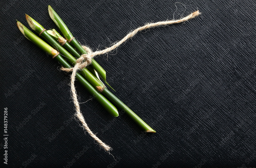 Bamboo shoots with manila rope close up photos represent the type of ...