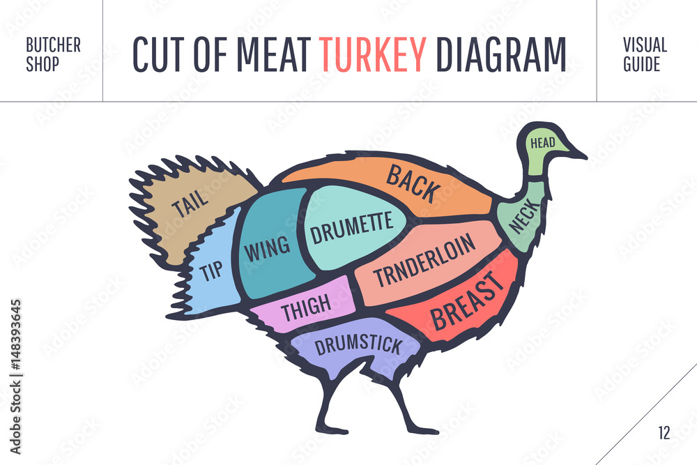 Cut of meat set. Poster Butcher diagram, scheme - Turkey. Colorful ...