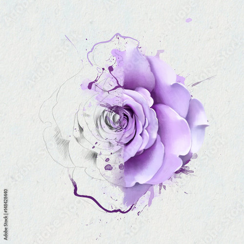 Purple Rose Drawing
