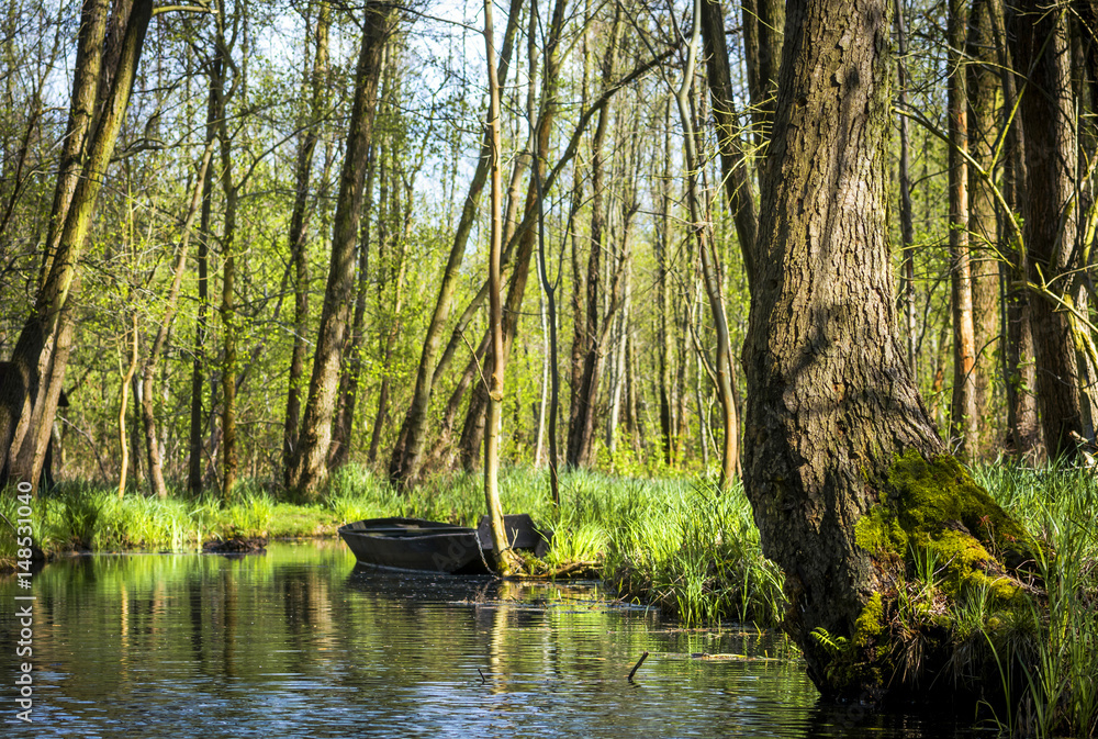 Flusslauf in wilder Natur mit altem Kahn im Spreewald Stock Photo | Adobe Stock