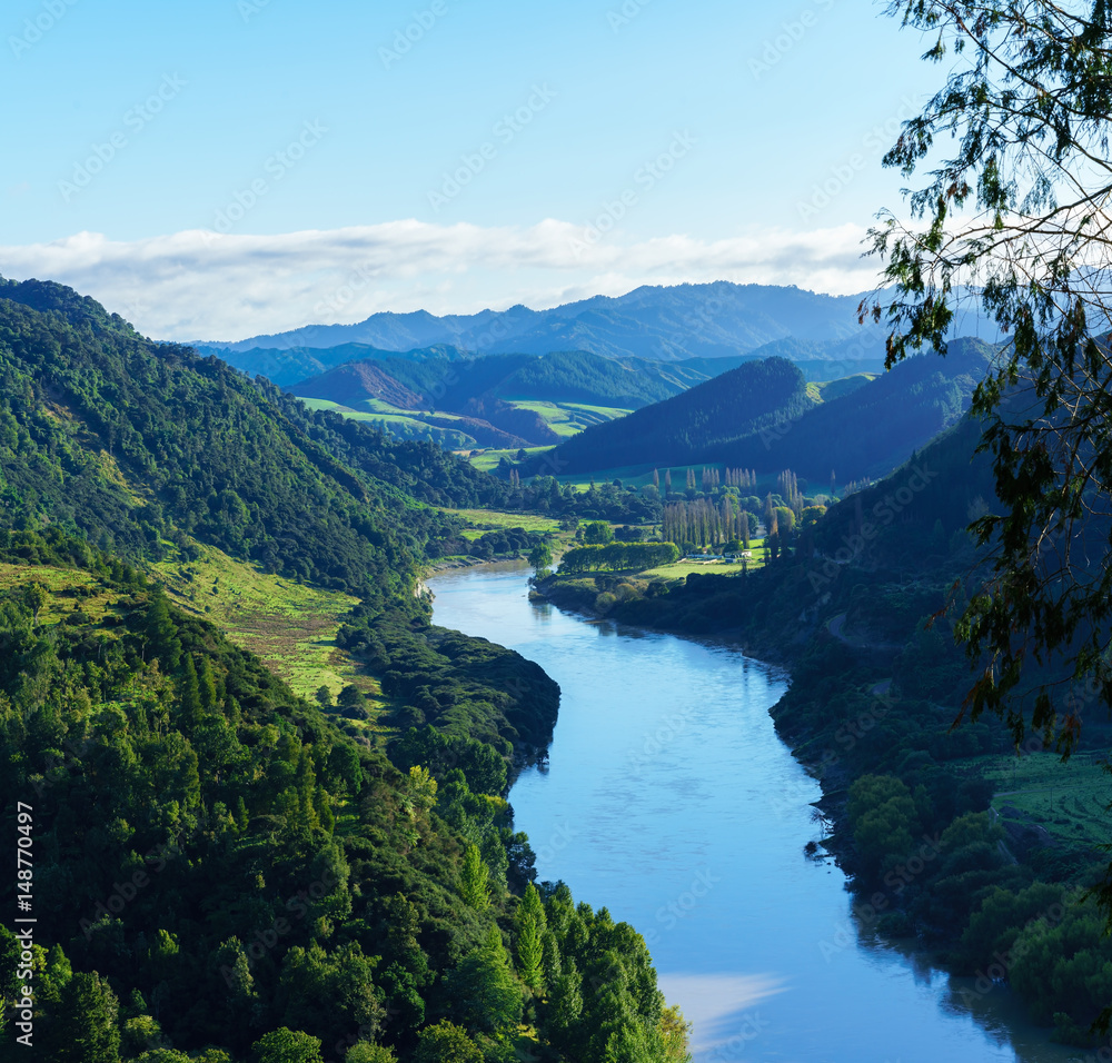 Panoramic beautiful scenery of Whanganui river road in National Park in ...