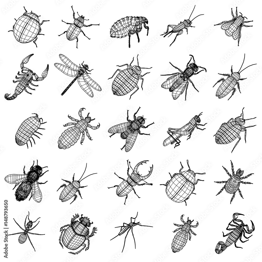 2d cartoon illustration of insect Stock Illustration | Adobe Stock