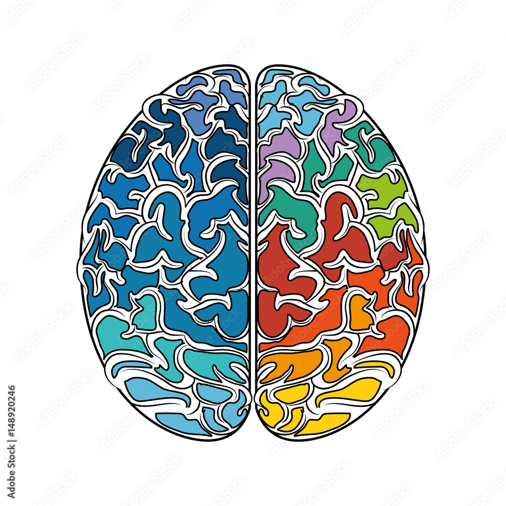colorful human brain icon over white background. vector illustration ...
