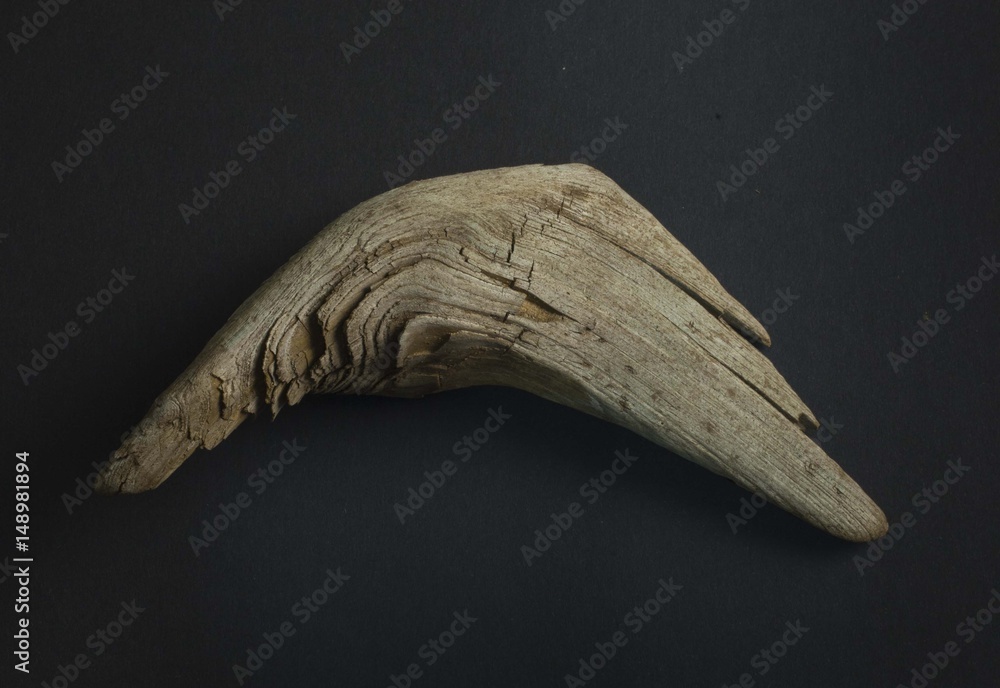 dry tree, seasoned wood, piece of an old tree, wood polished by sea, a ...