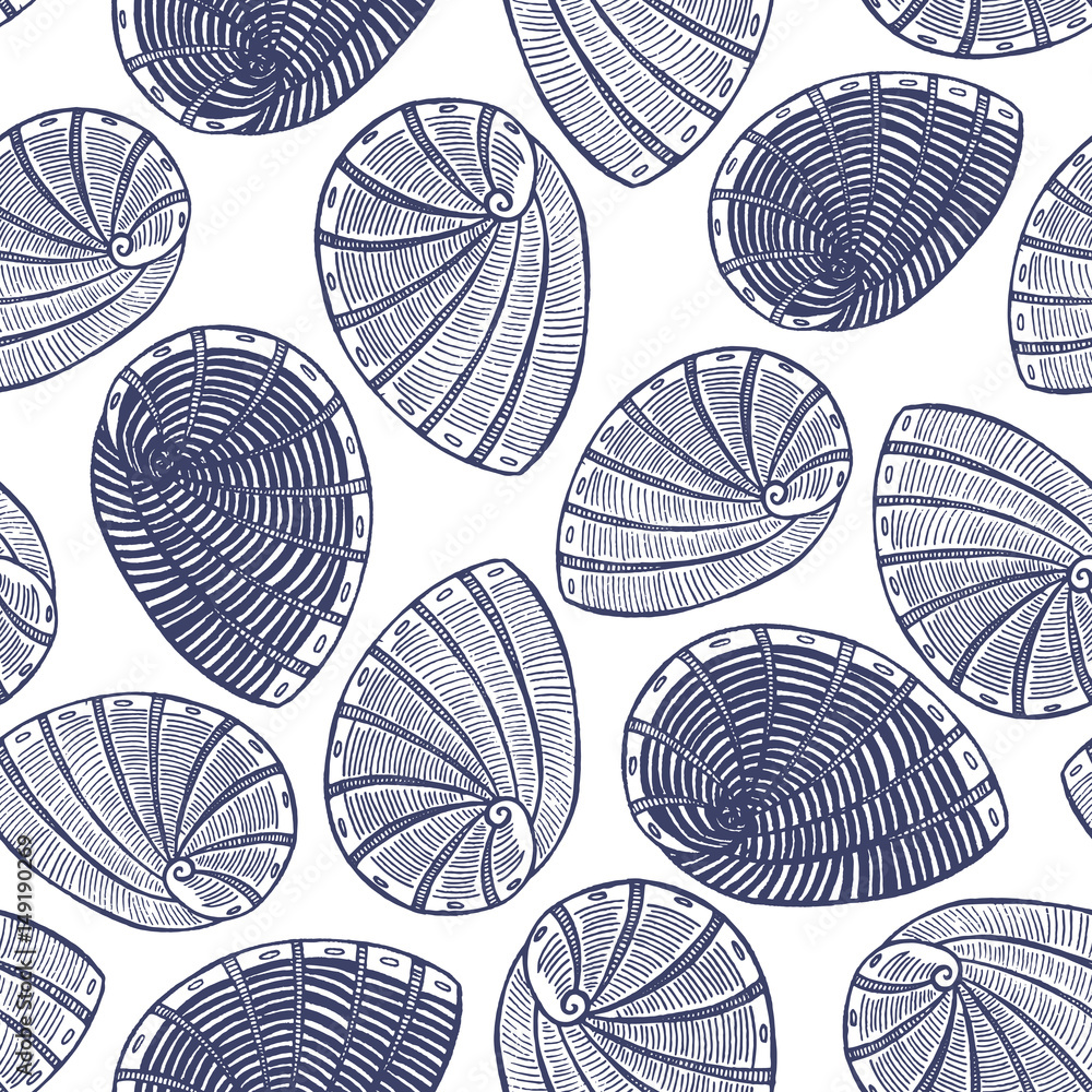 vector hand drawn shell background Stock Vector | Adobe Stock