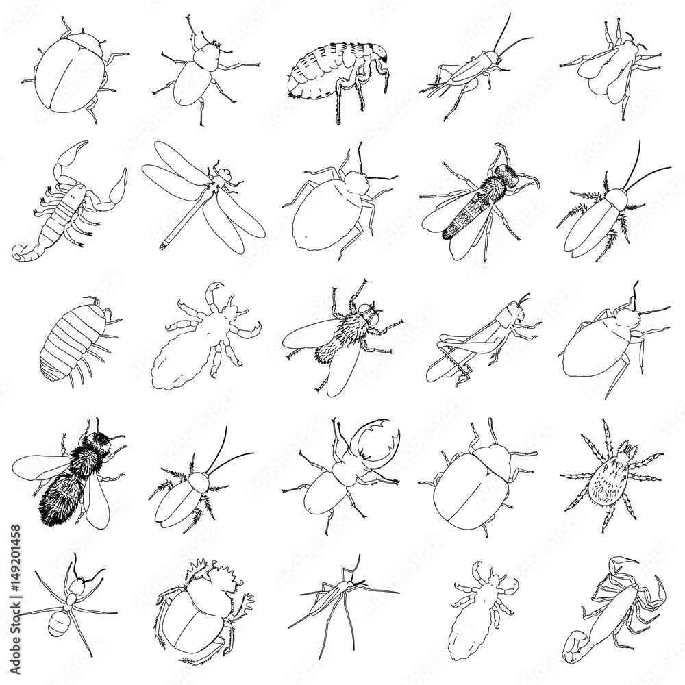 2d cartoon illustration of insect Stock Illustration | Adobe Stock