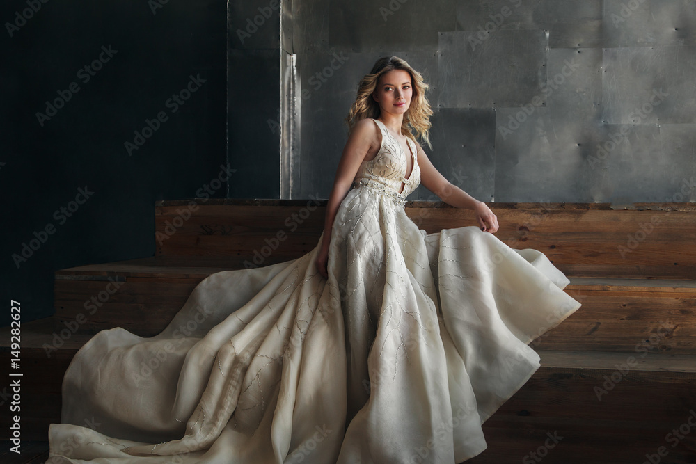 Fashion model in long dress on the metal background Stock Photo | Adobe ...