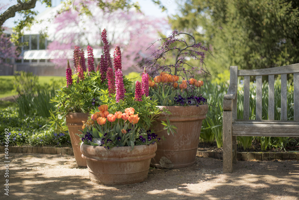 Spring Flower Pots Stock Photo | Adobe Stock