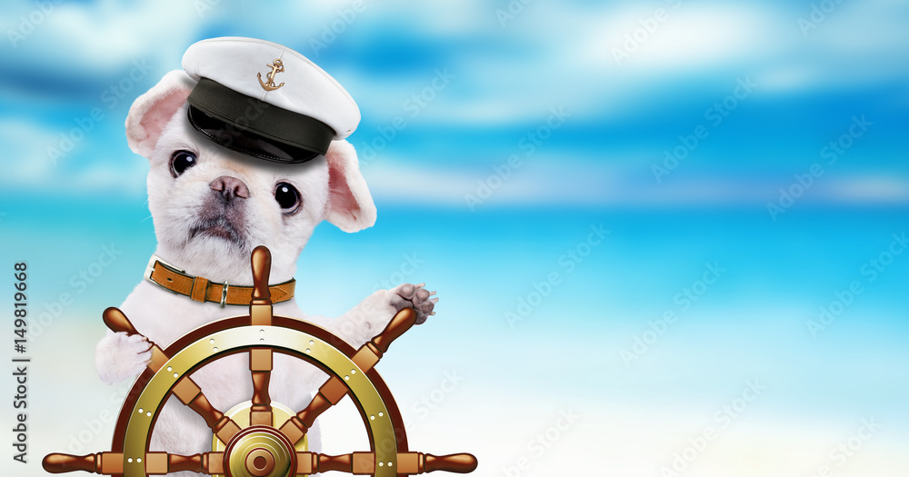 Dog sailor holds ship steering wheel in the sea background. Stock Photo ...