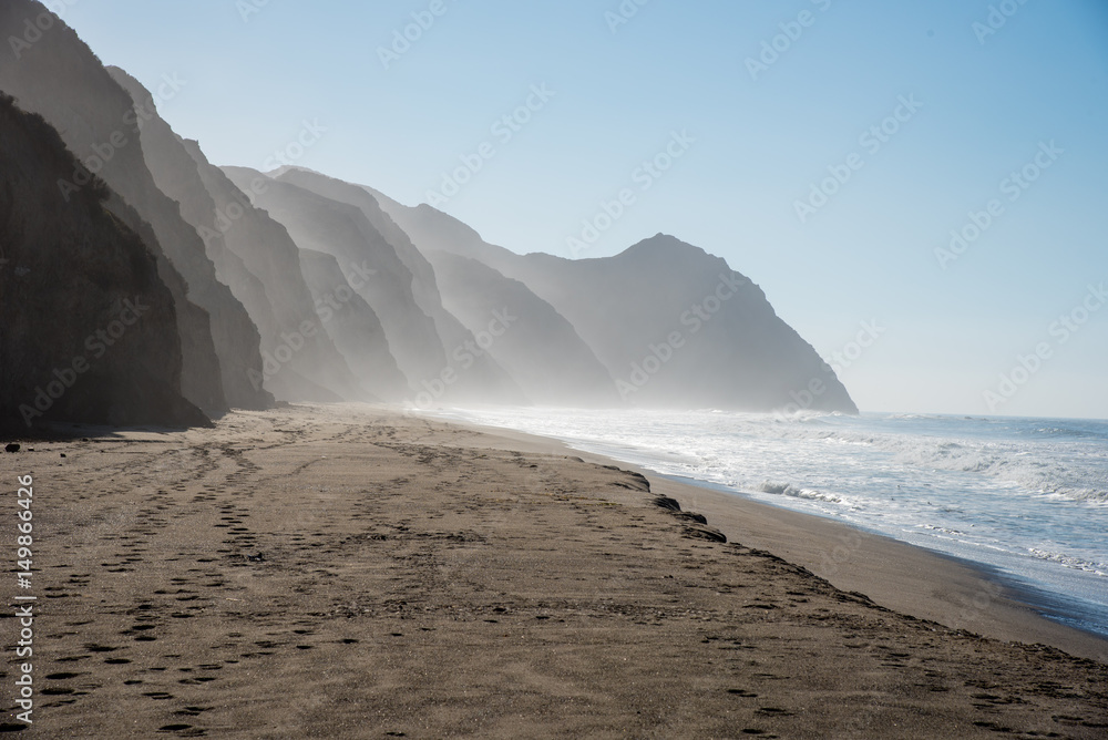 Misty beach in pacific northwest Stock Photo | Adobe Stock