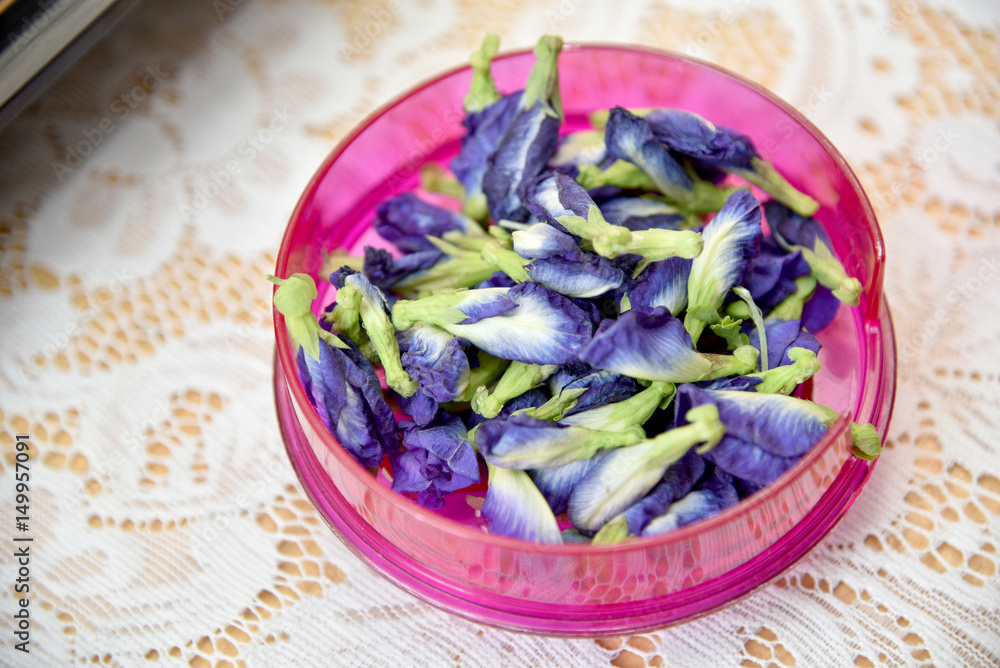 Pea flowers, Clitoria ternatea, butterfly blue. Asian pigeonwings ...