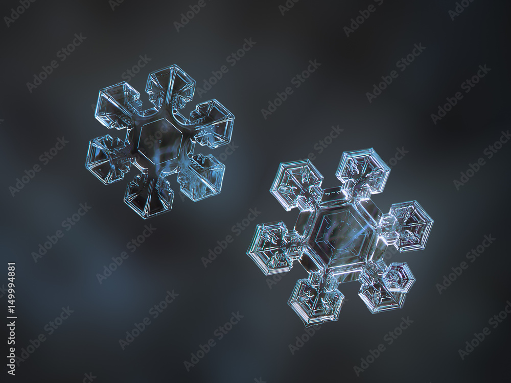 Macro photo of two real snowflakes, glittering on dark blur background ...