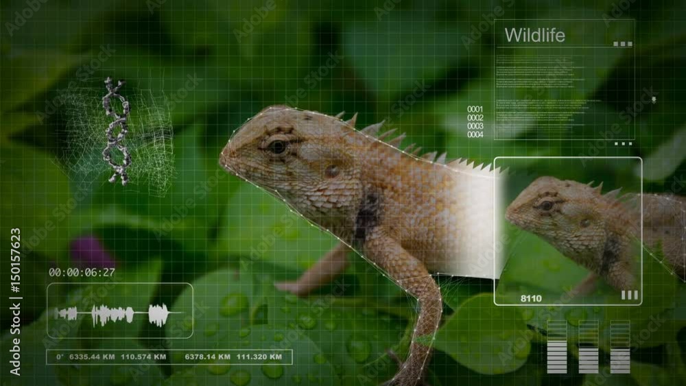 Seamless animation analysis of tree lizard with digital computer ...