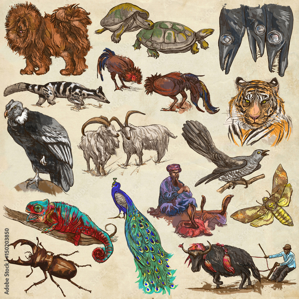 An hand drawn full sized collection, colored pack of animals. On old ...