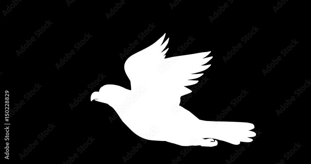 Bald Eagle Flying 2D Animation Stock Video | Adobe Stock