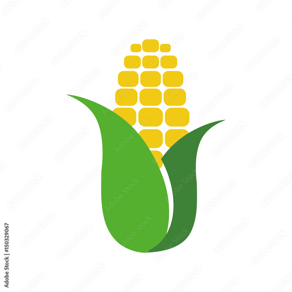 Corn Icon