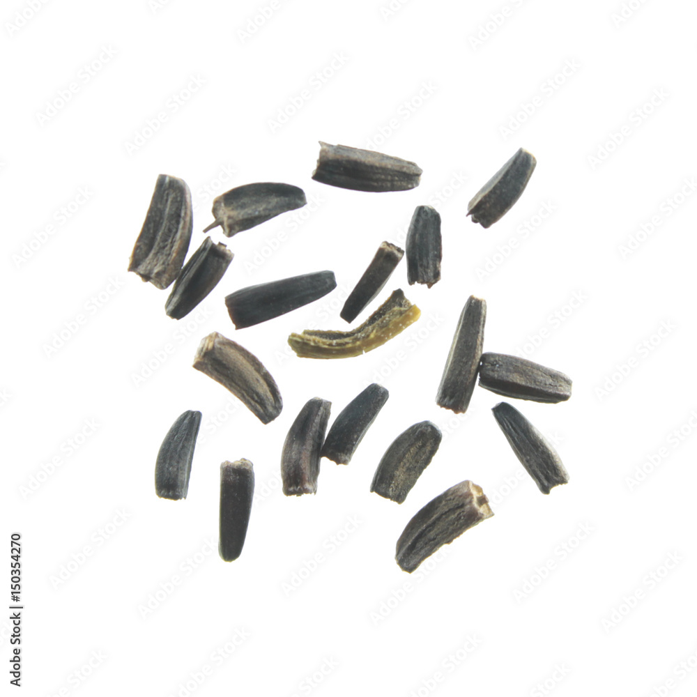 Seeds of rough oxeye (Heliopsis helianthoides) isolated on white ...