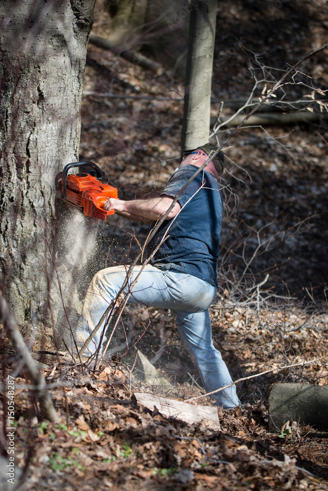 man cutting tree down with chainsaw Stock Photo | Adobe Stock