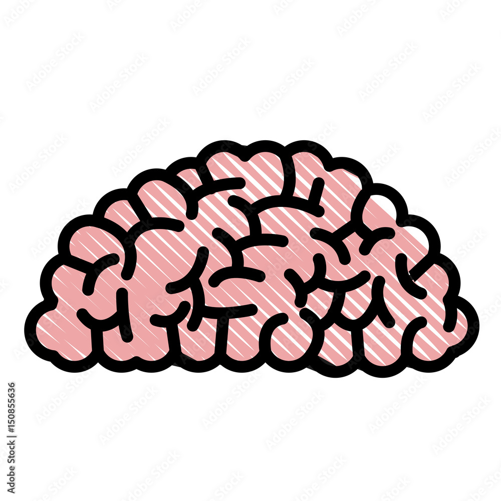 drawing brain human organ memory vector illustration Stock Vector ...