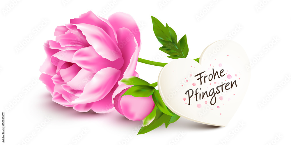 Pfingstrose mit Grußkarte zum Pfingstfest - Frohe Pfingsten Stock ...