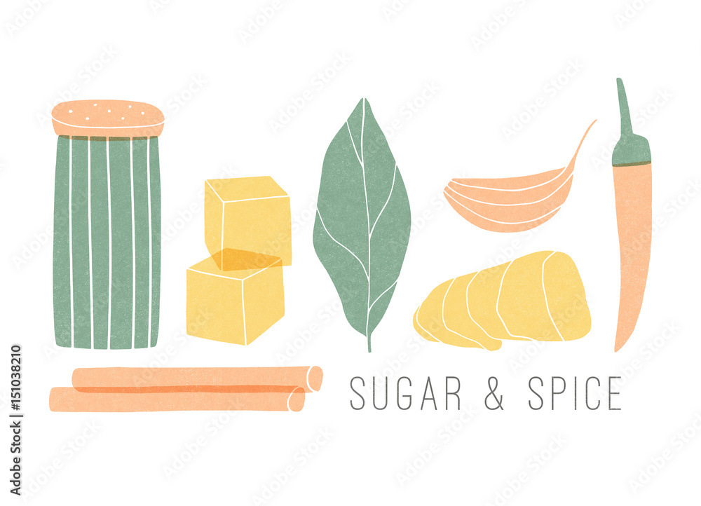 Cartoon spice set. Hand drawn colorful cooking illustration on the ...