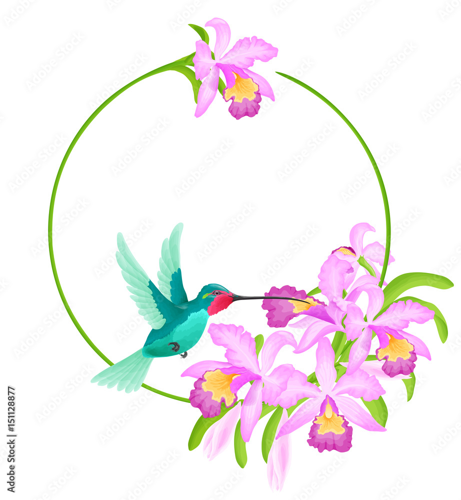 Floral circle frame with Hummingbird isolated on white background ...