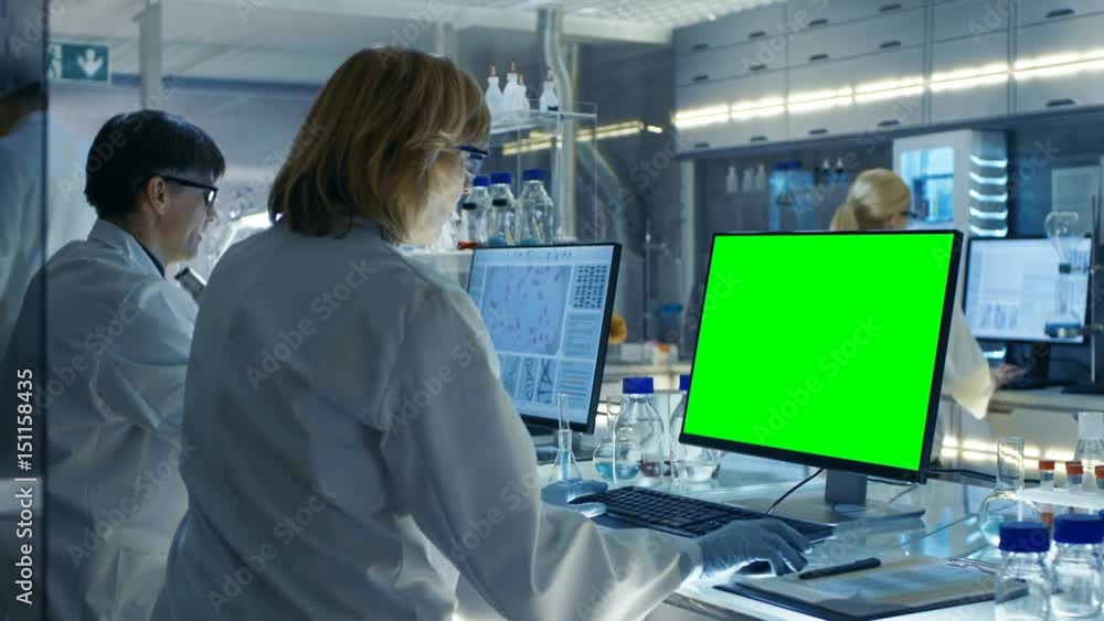 Female and Male Scientists Working on their Computers (Mock-up Green ...