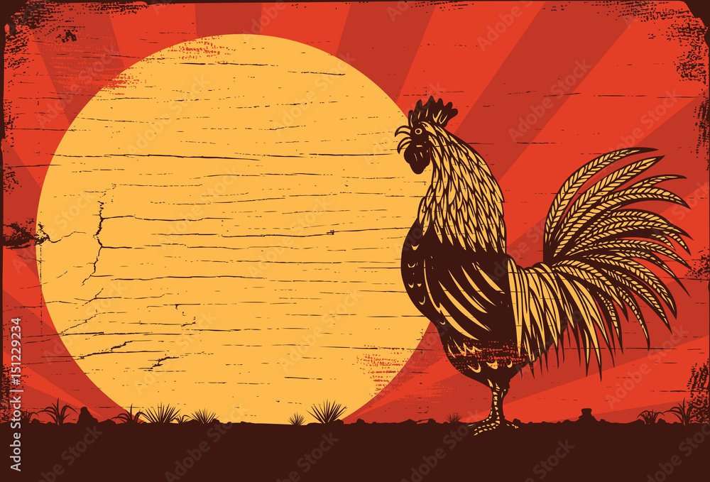 Rooster Crowing Drawing