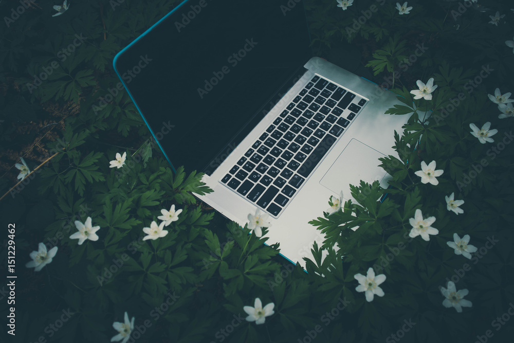 Laptop computer at the natural forest background, spring flowers and ...