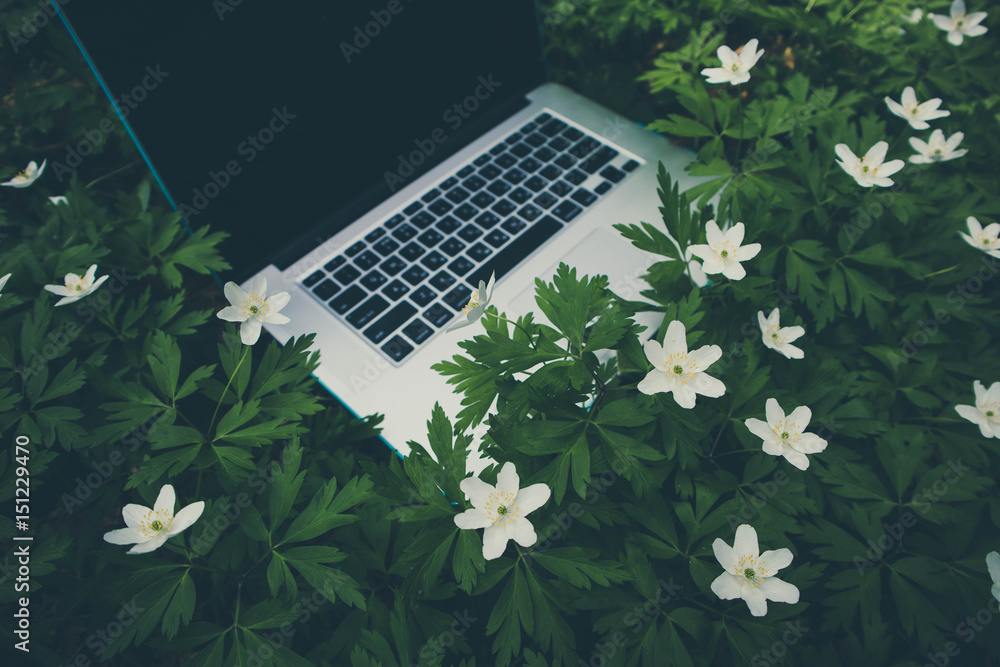 Laptop computer at the natural forest background, spring flowers and ...