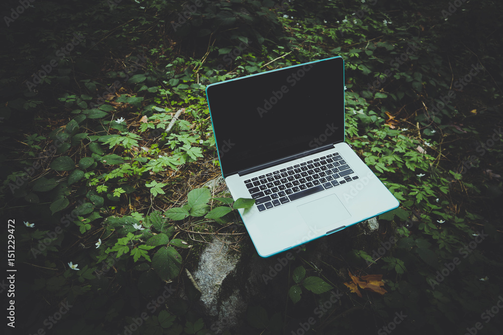 Freelancer laptop computer lost in the forest glade, amid the greenery ...