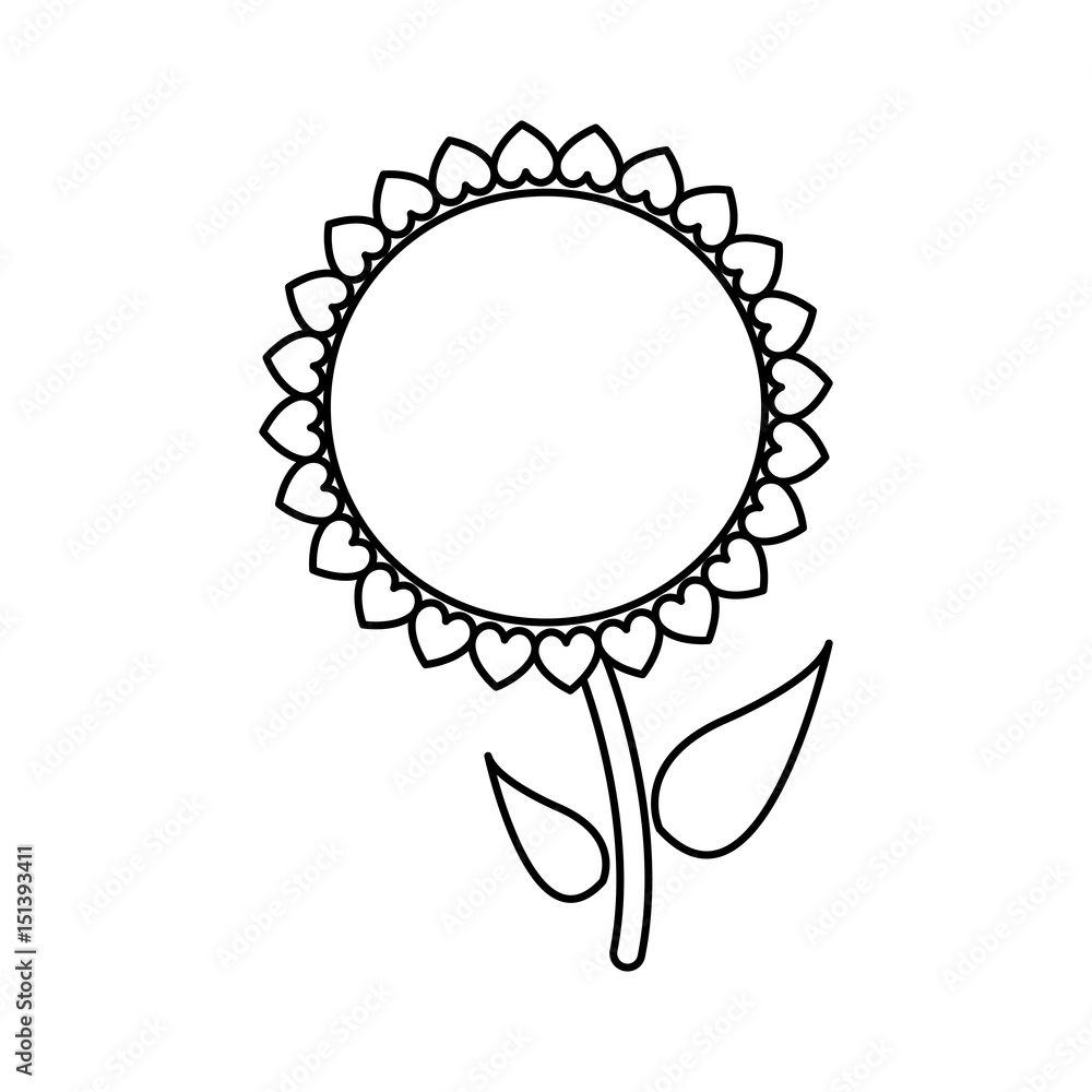 sunflower plant stem natural garden outline vector illustration Stock ...