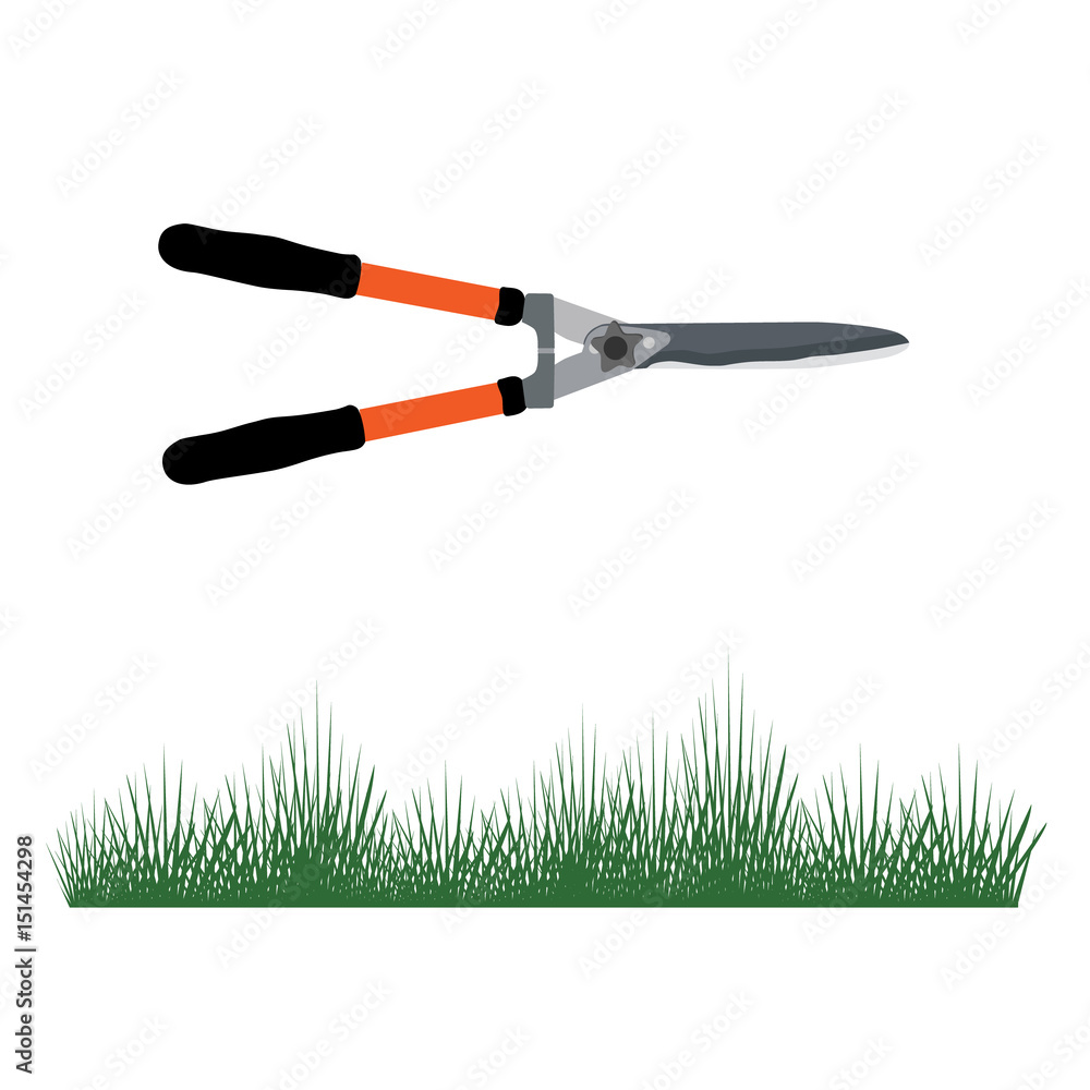 Green grass and scissors vector Stock Vector | Adobe Stock