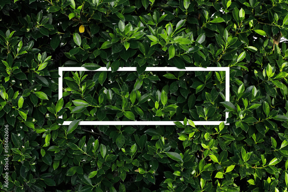 Square frame, Creative layout made of tropical flowers and leaves with ...