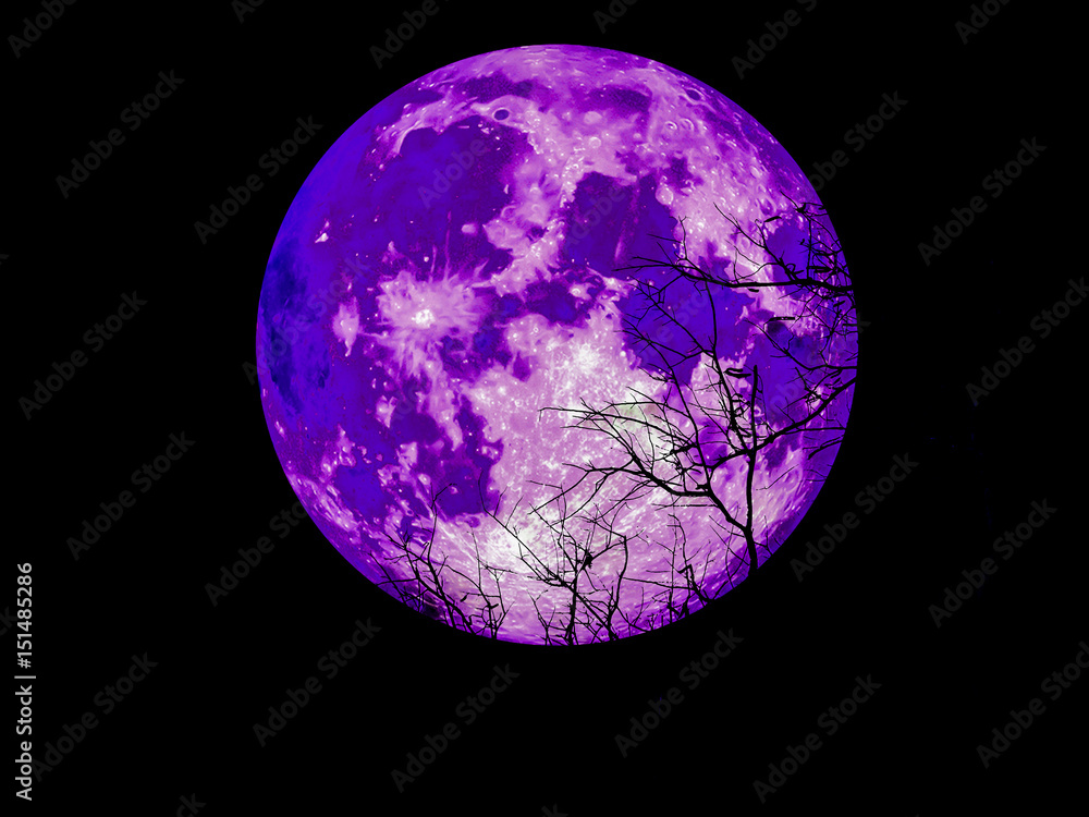 Purple Sky Moon