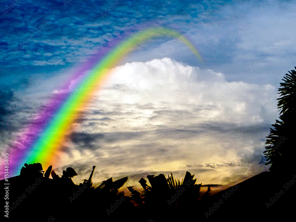 rainbow of god from heaven silhouette tree Stock Photo | Adobe Stock