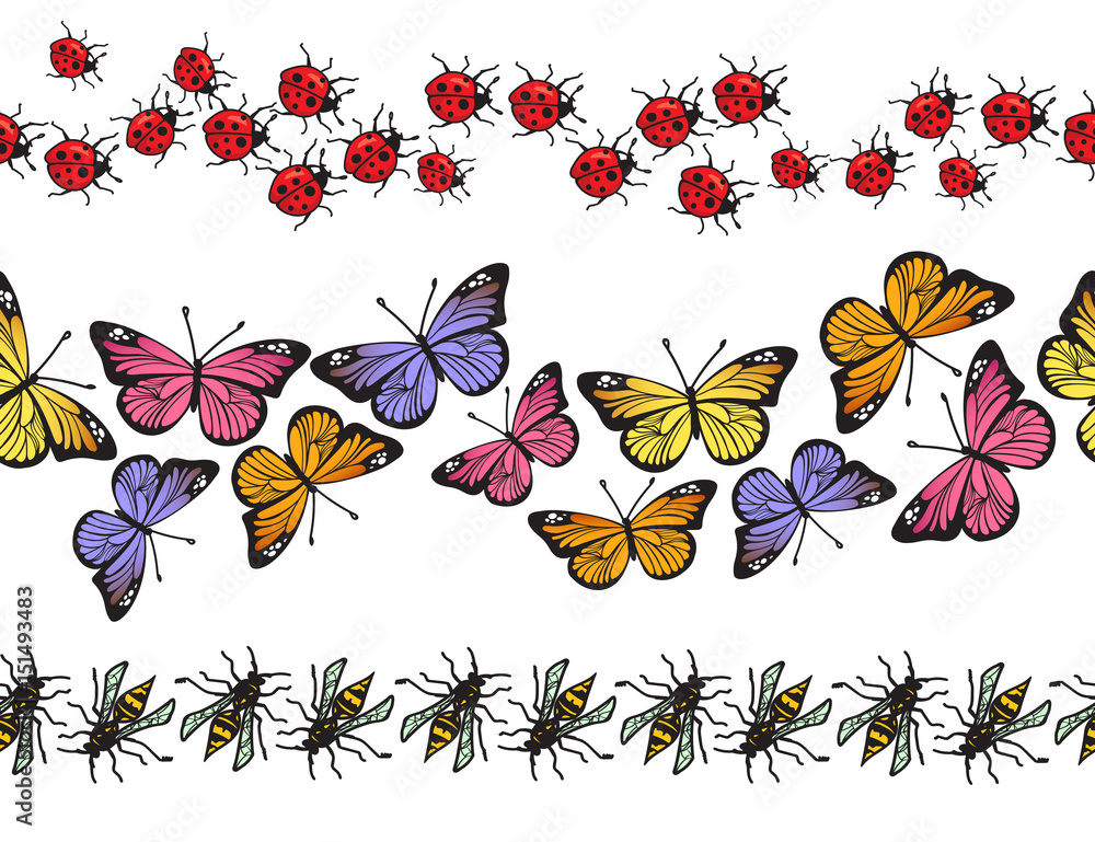 Free Insect Clipart Borders