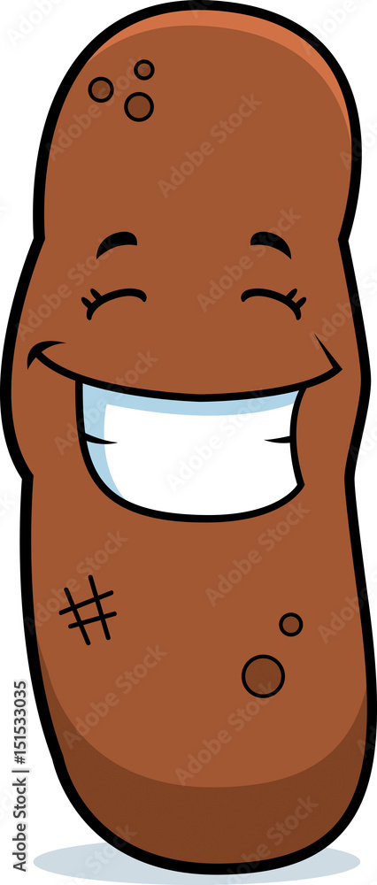 Cartoon Turd Smiling Stock Vector | Adobe Stock
