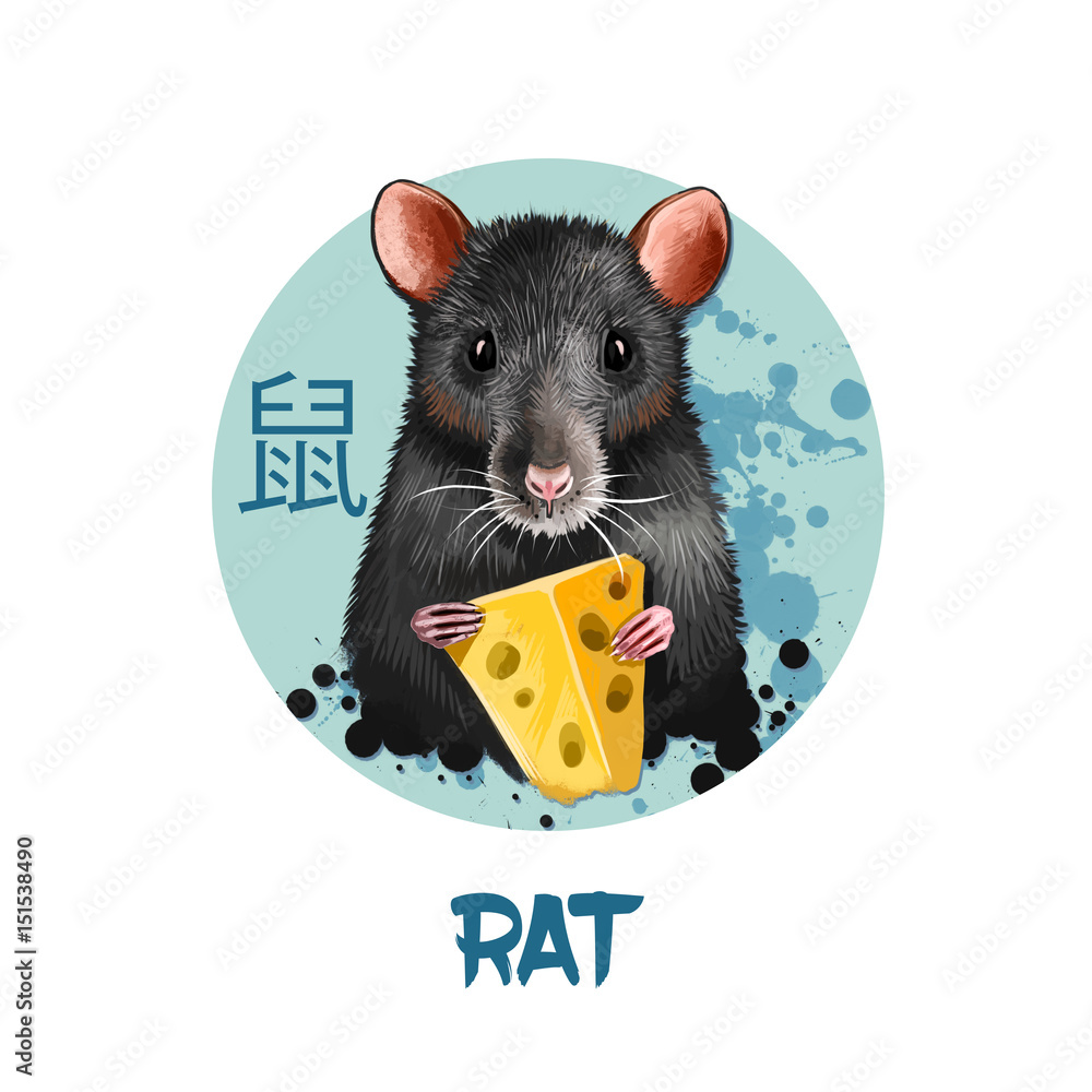 Rat chinese horoscope character isolated on white background. Symbol Of ...