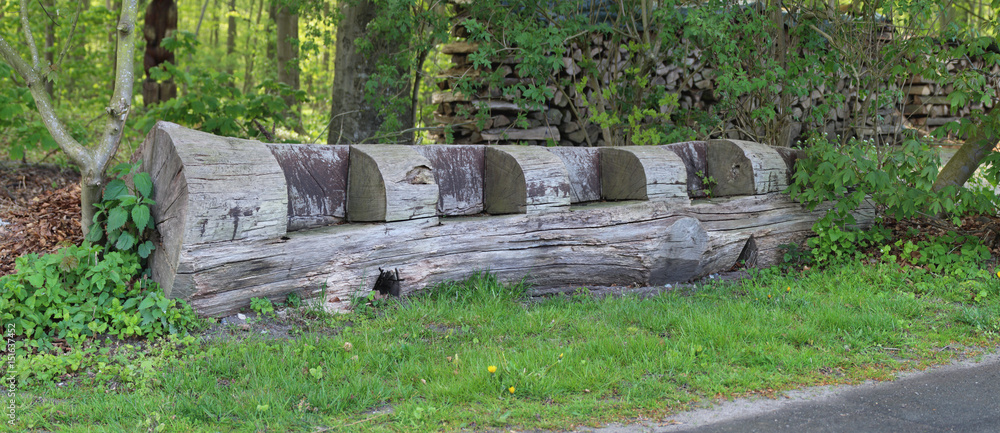 Verwunderlich Holzbank Aus Baumstamm Selber Bauen Fotos