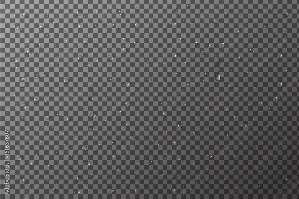 Vector set of realistic isolated water drops on the transparent ...