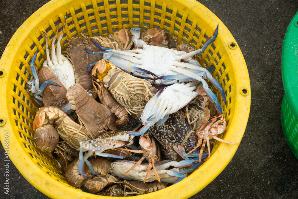 Crab & Crayfish in basket Stock Photo | Adobe Stock