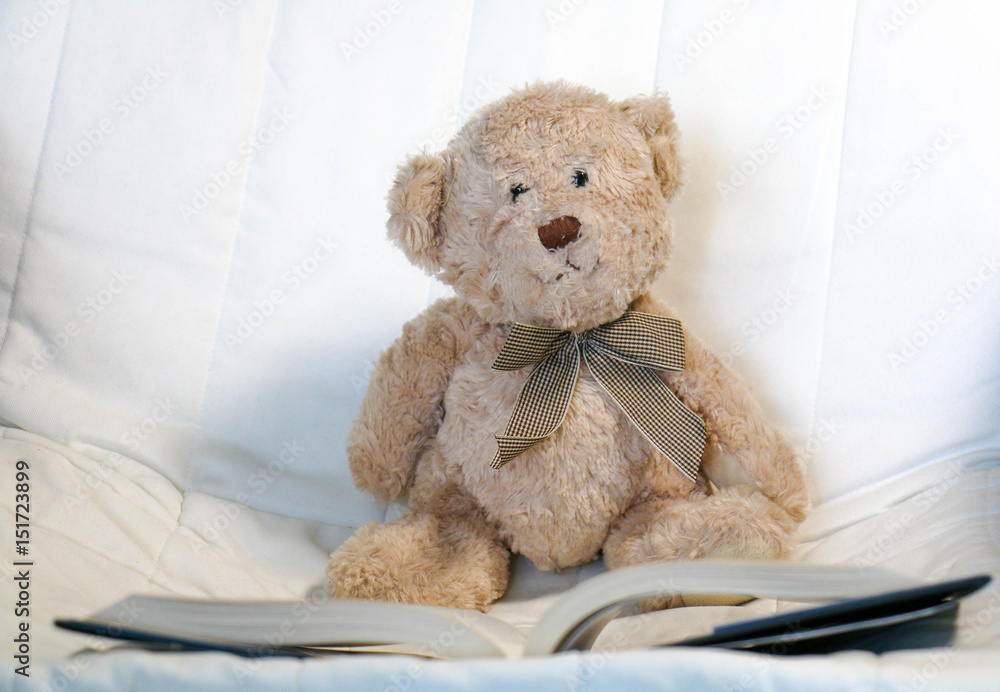 Teddy bear reading a book. Concept of learning. Importance of reading ...
