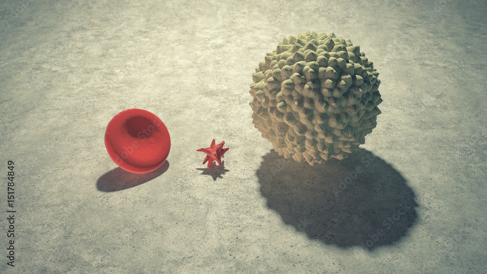 Main blood cells in scale Stock Illustration | Adobe Stock