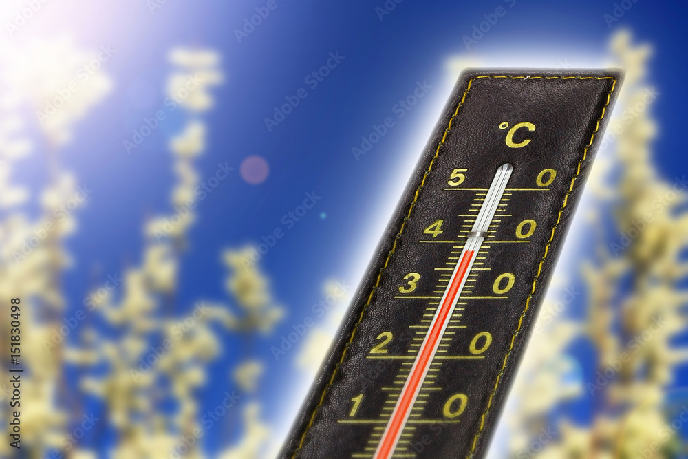Thermometer with hot temperature, catkin background and lens flare ...