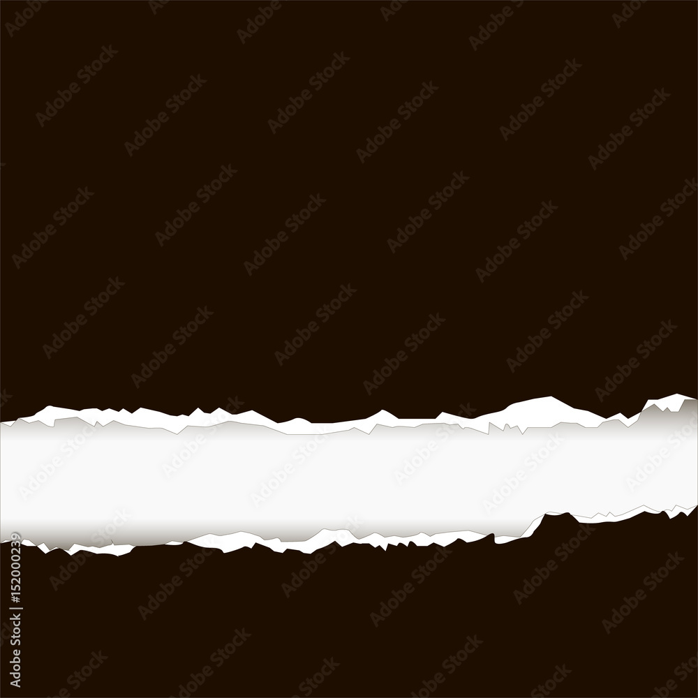 torn piece of black paper. White background. Stock Vector | Adobe Stock