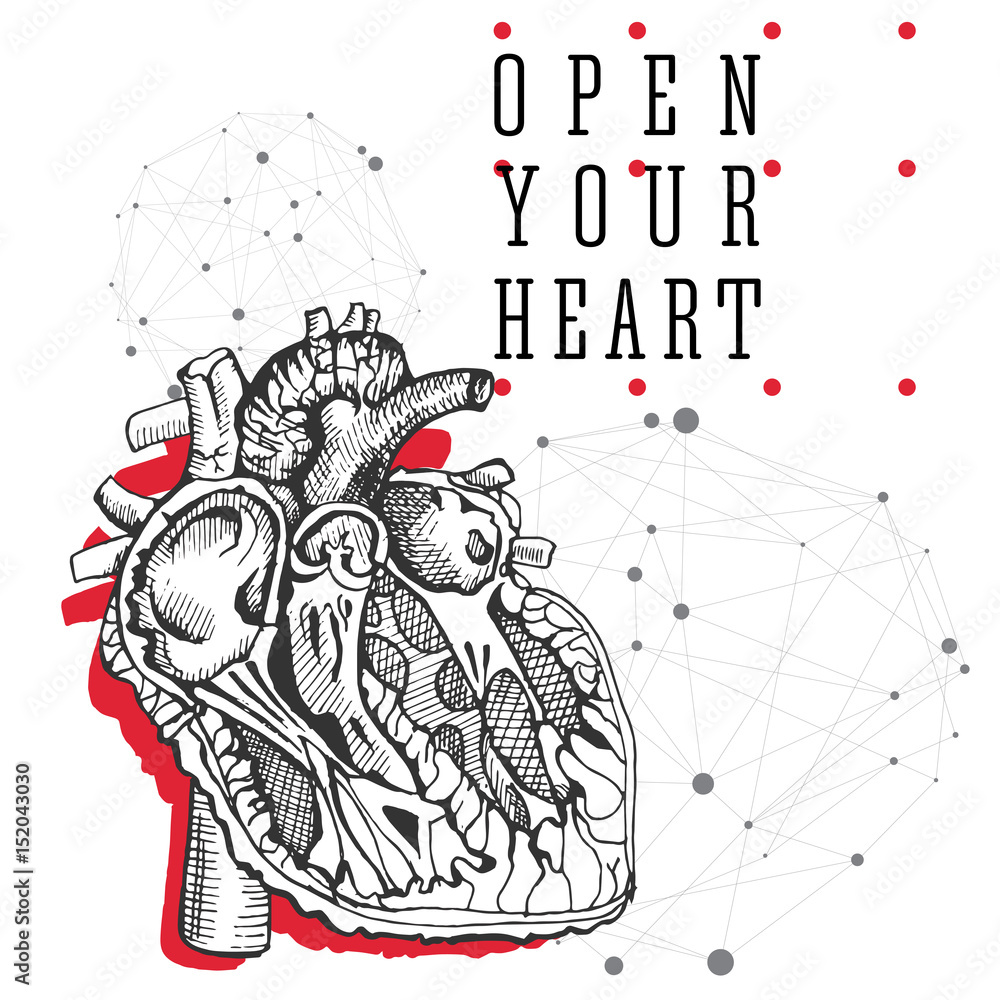 Human heart. Hand drawing vintage illustration Stock Vector | Adobe Stock