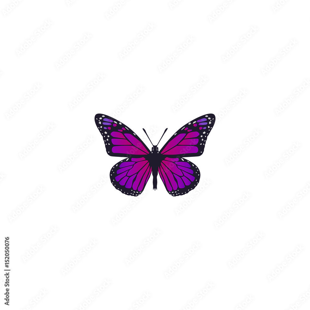 Realistic Violet Wing Element. Vector Illustration Of Realistic Purple ...