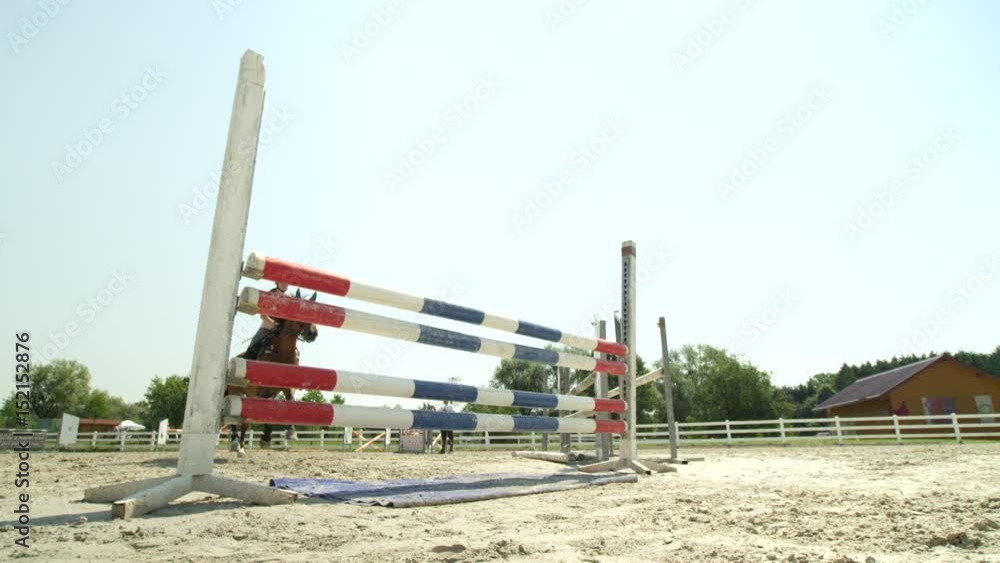SLOW MOTION, CLOSE UP, LOW ANGLE VIEW: Girl riding beautiful dark brown ...