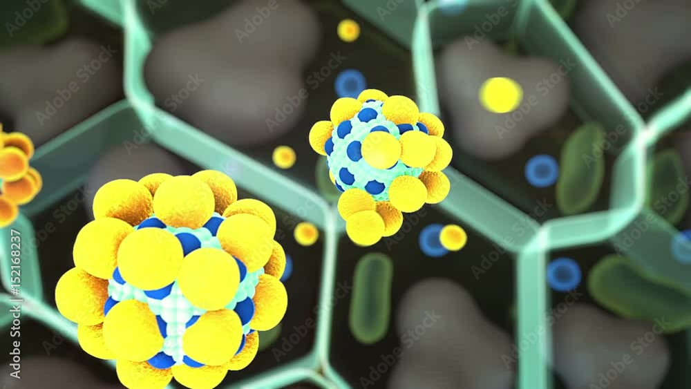 field of fat cells, High quality render of fat cells, cholesterol in a ...